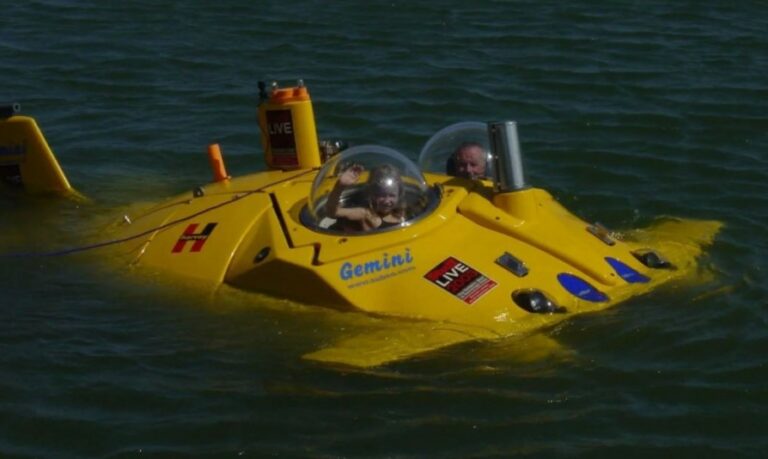 Subeo Submarine Net Worth 2024: Financial Battle Erupted Amongst the ...